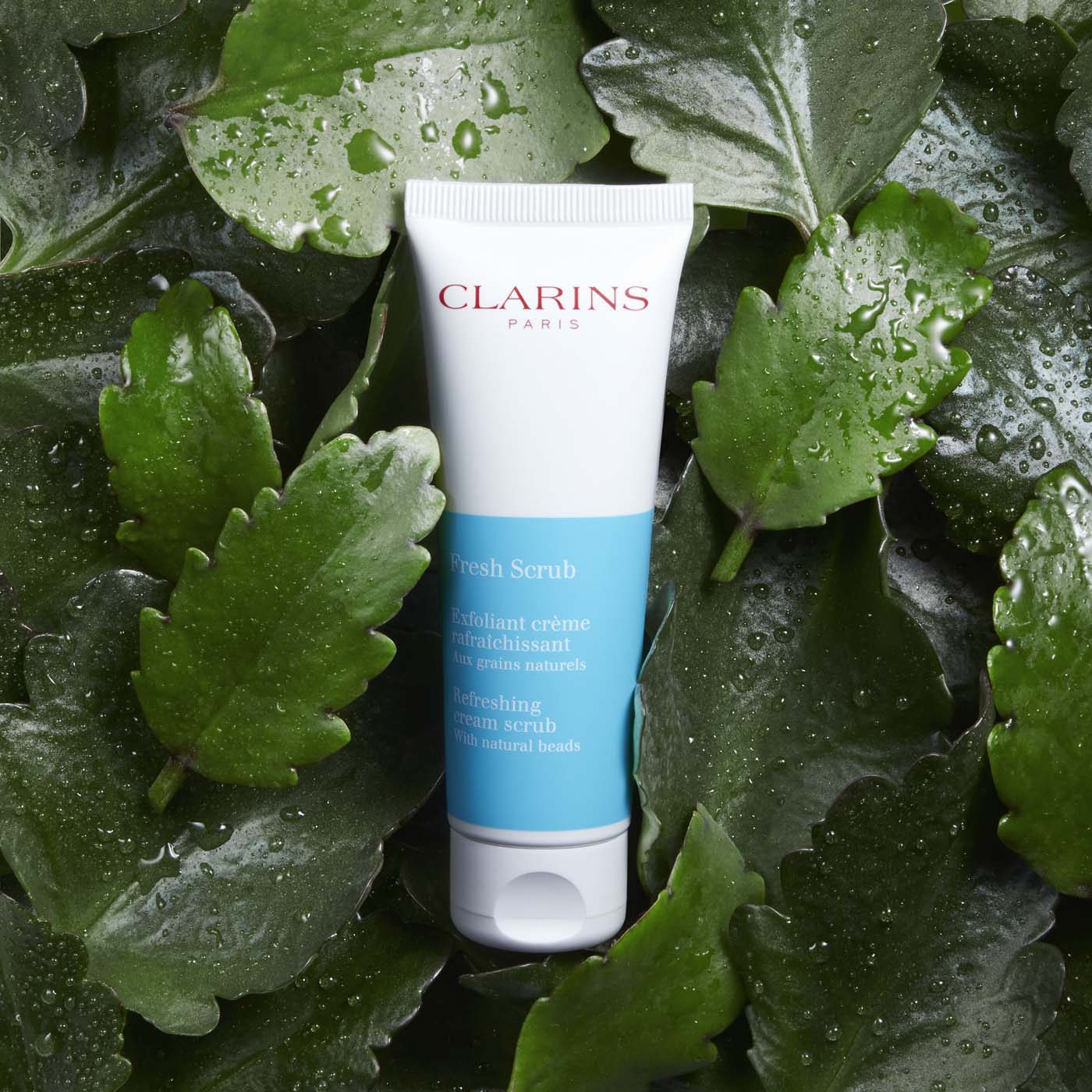 Fresh Scrub - Clarins